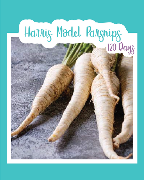harrismodelparsnips_grande.png?v=1586490087