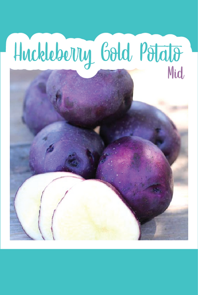 huckleberrygoldpotatoes2_grande.png?v=1671041906